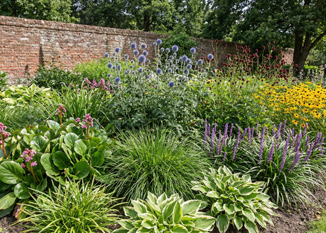 Biologische tuinplanten kopen online - bio gekweekte planten