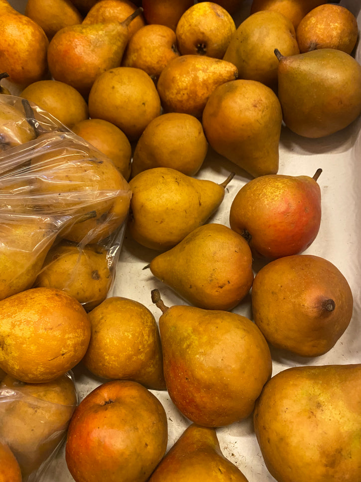 Stoofperenboom - Pyrus communis 'Gieser Wildeman' - morgen bezorgd