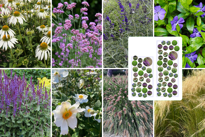 Stefan's Kant en klare beplantingsplan - Rechthoekige borders met veel