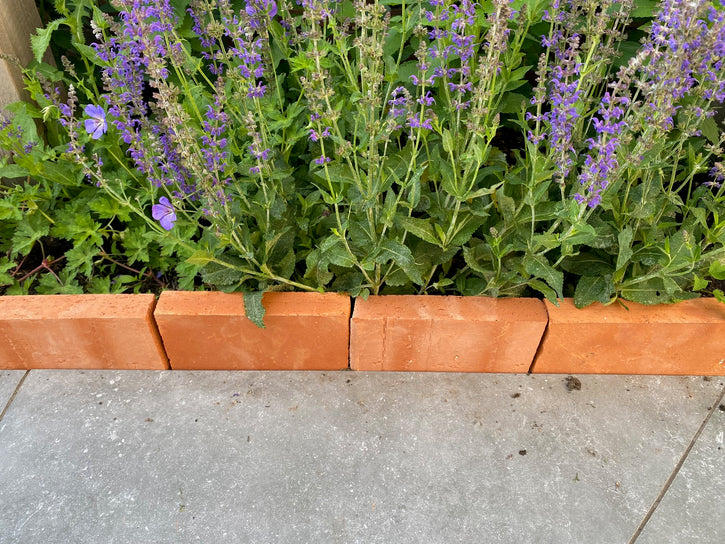 Terracotta borderstenen 23.5 x 11 x 4 cm - stapelblokken tuin kopen