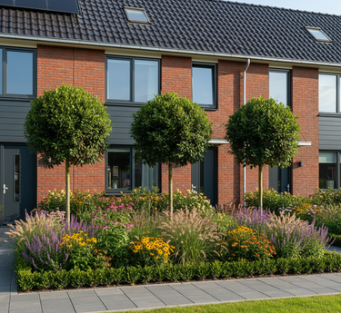 Laurier Prunus kopen? 20+ soorten Laurierstruiken kopen