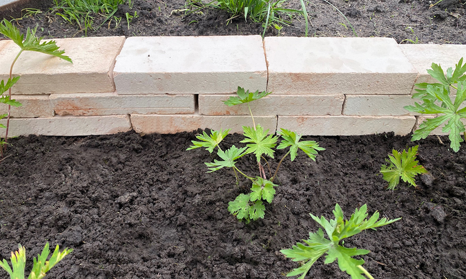 Terracotta borderstenen 23.5 x 11 x 4 cm Beige stapelblokken tuin