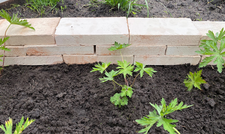 Terracotta borderstenen 23.5 x 11 x 4 cm Beige stapelblokken tuin