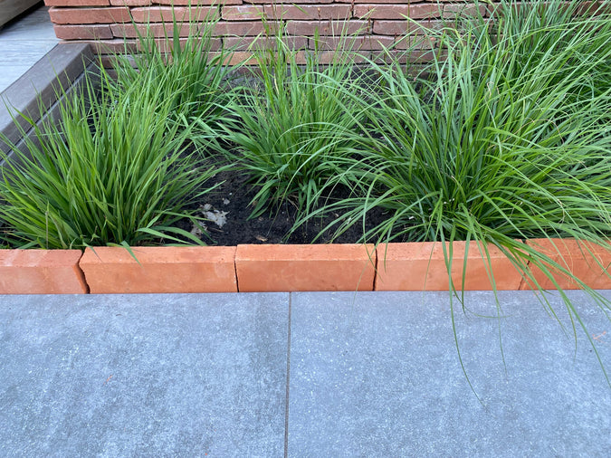 Terracotta borderstenen 23.5 x 11 x 4 cm - stapelblokken tuin kopen