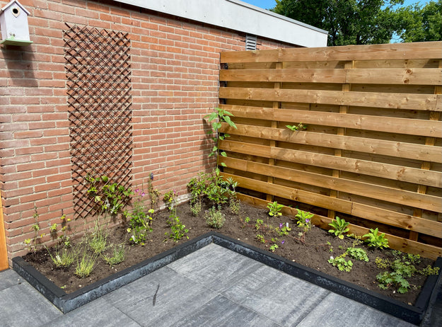 Borderpakket William Engelse tuin wit, roze, paarse planten - m2 set