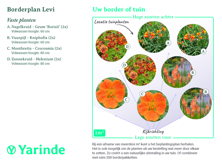 Vaste planten borderpakket - oranje bloemen - zon borders