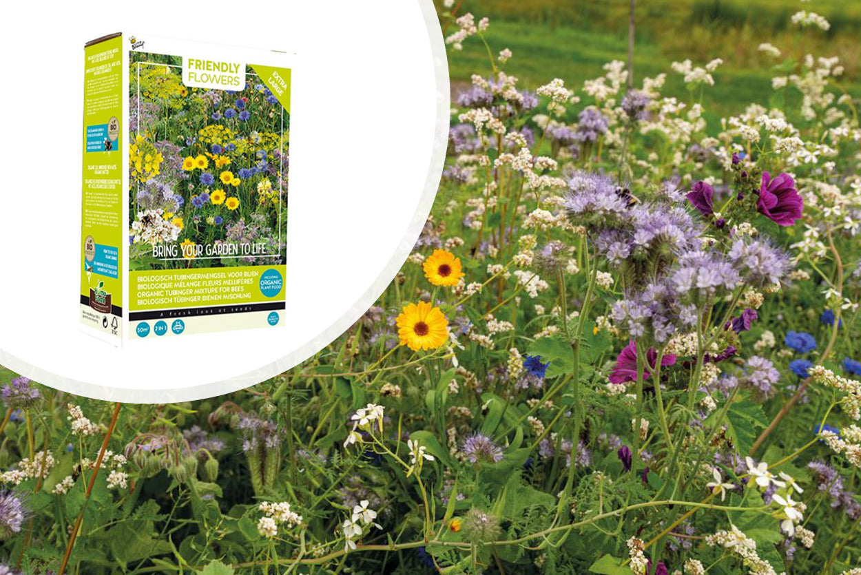 Biologische bloemenmengsel zaad kopen 50m2 weidebloemen