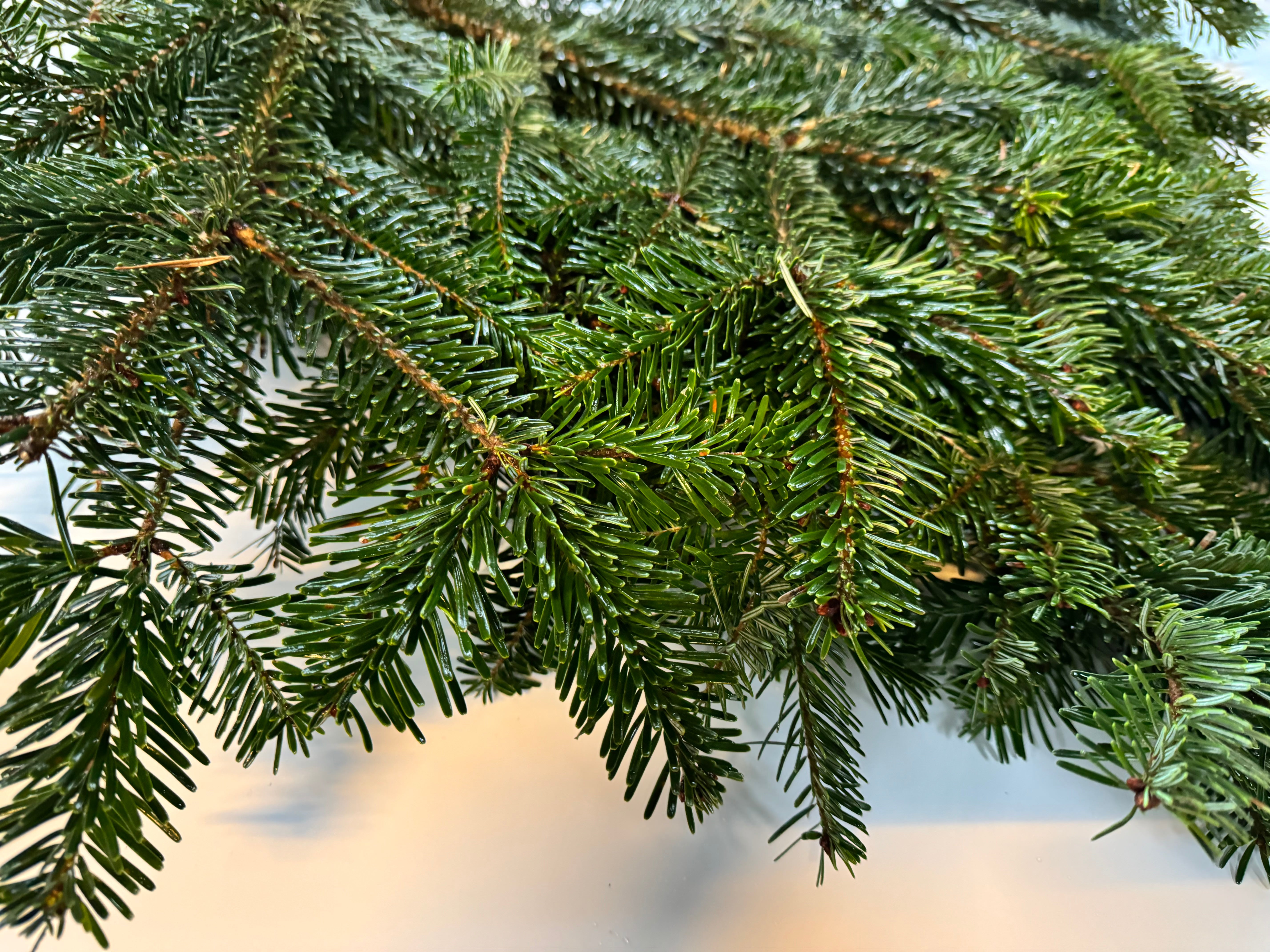 Kerstgroen - Kersttakken Nordmann 7 takken