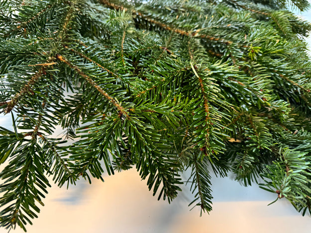 Kerstgroen - Kersttakken Nordmann 7 takken